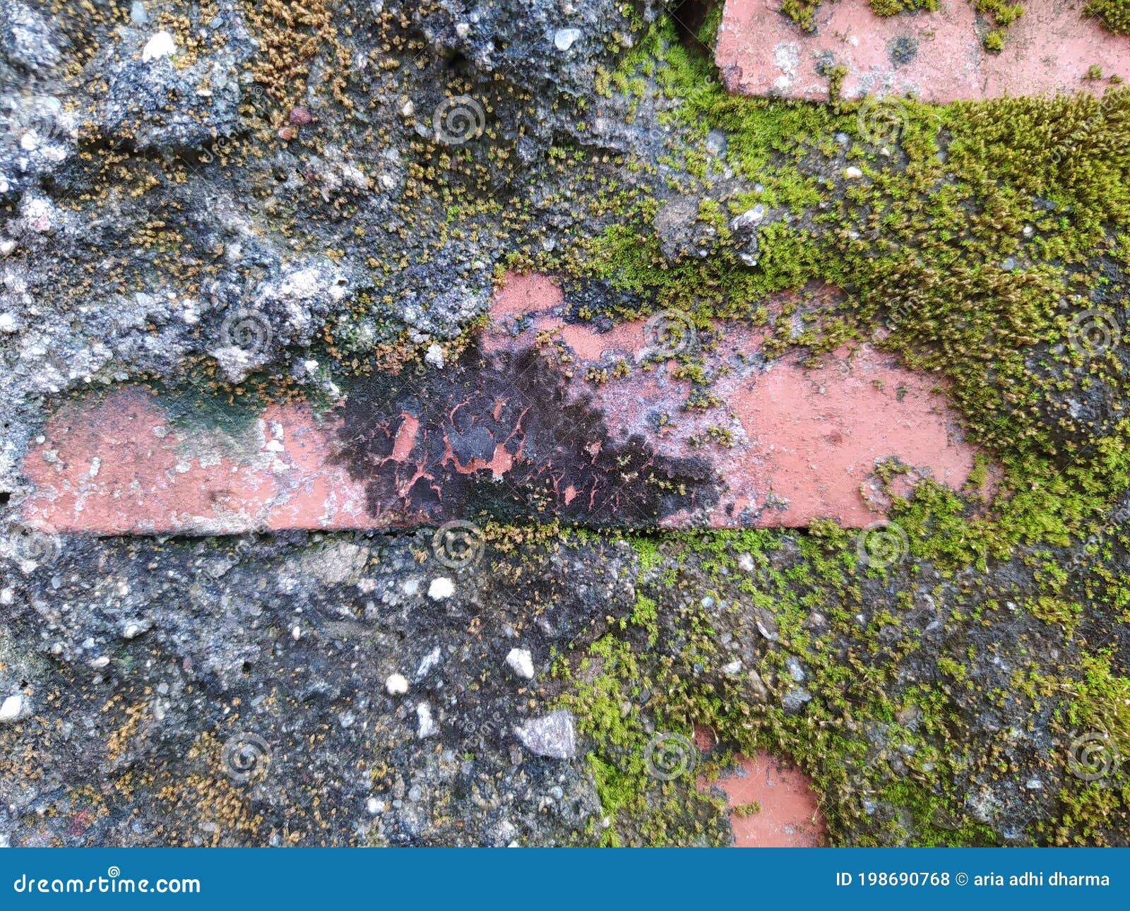 Brick exposed with moss stock photo. Image of exposed - 198690768
