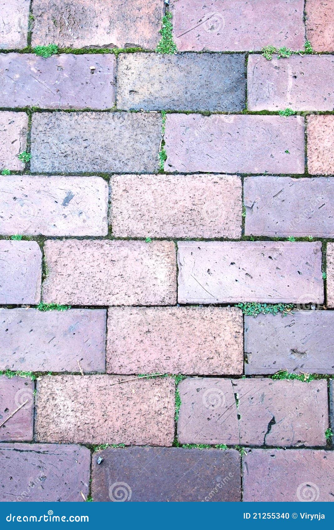 Brick footpath background. stock photo. Image of surface - 21255340