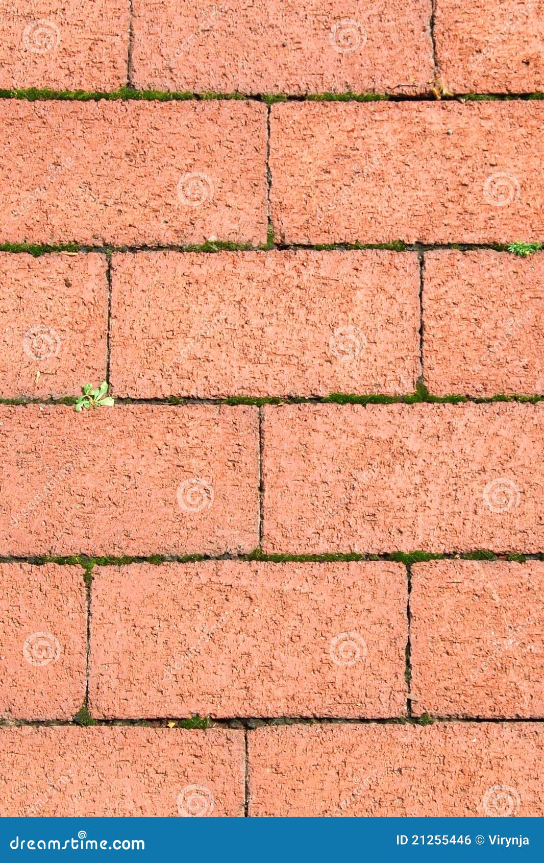 Brick footpath background. stock photo. Image of floor - 21255446