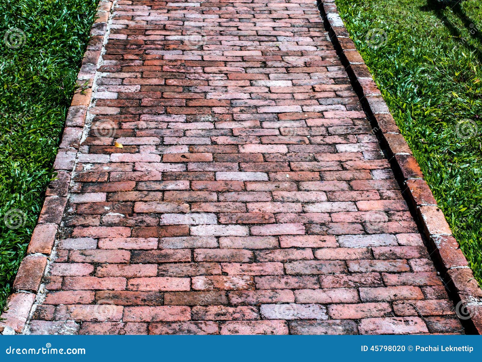 Brick Footpath stock photo. Image of walkway, brick, garden - 45798020