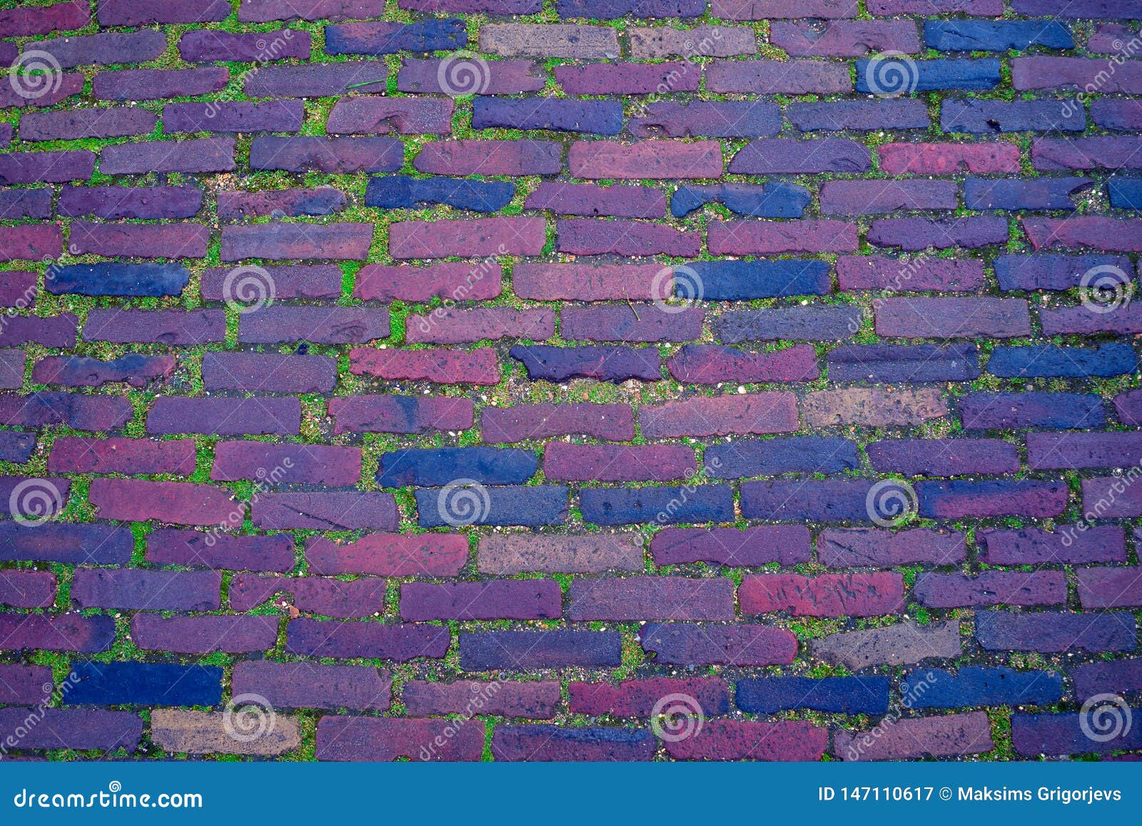Brick Footpath Road Background, Texture with Moss Stock Image - Image ...