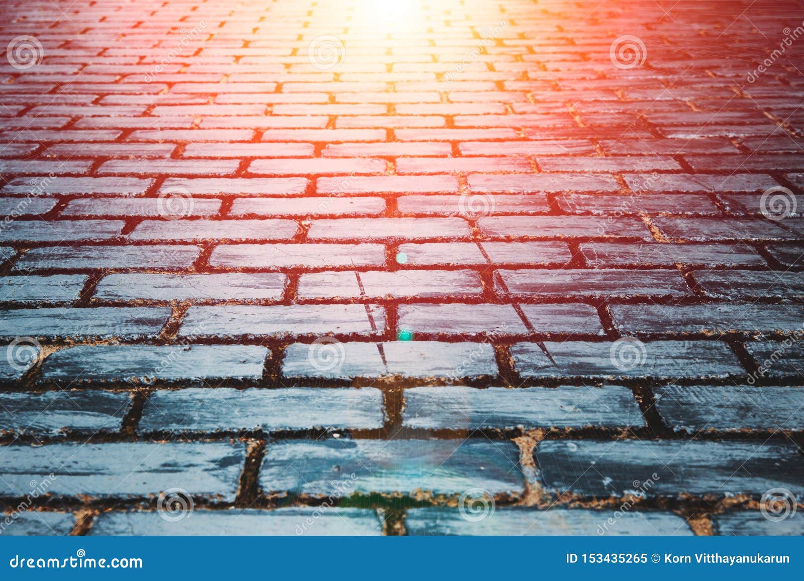 Brick Footpath or Stone Walkway with Front Light Stock Image - Image of ...