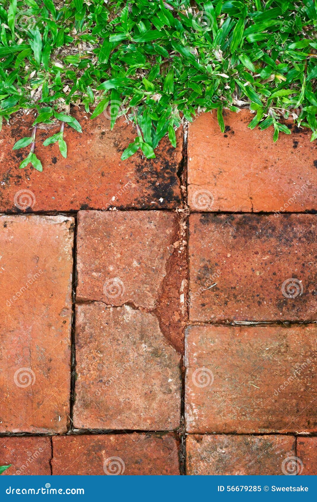 Brick And Grass Background Royalty-Free Stock Photo | CartoonDealer.com ...