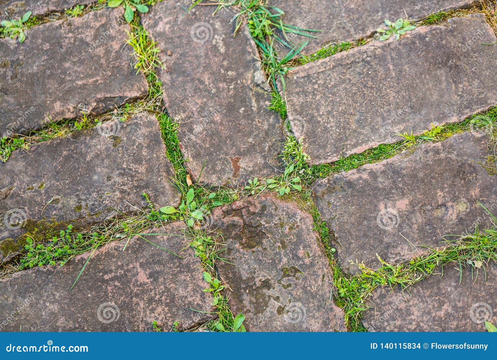 Seamless Texture of a Paving Stone Track on a Green Grass Stock Photo ...