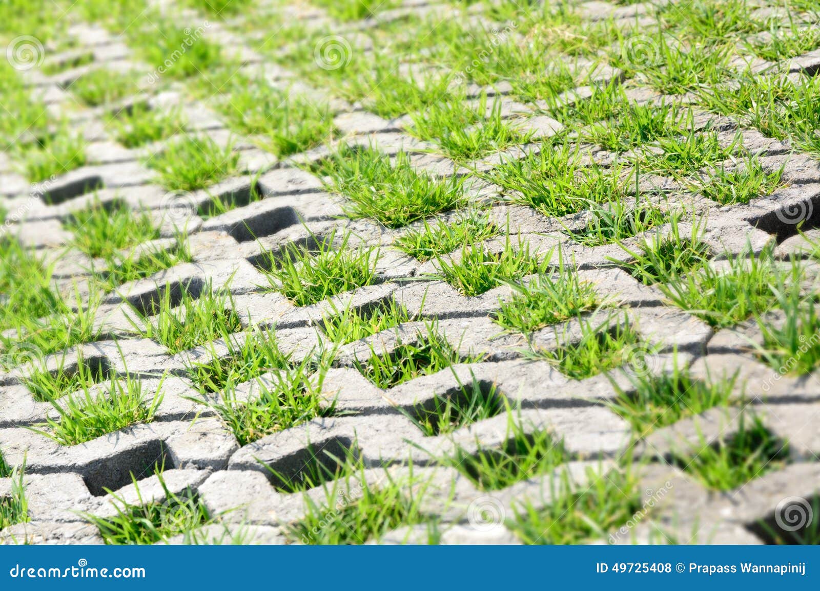 Brick grass path stock photo. Image of tile, road, stone - 49725408