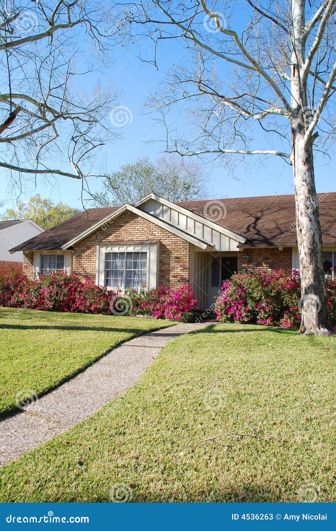 Brick Home with Spring Flowering Pink Azaleas Stock Image - Image of ...