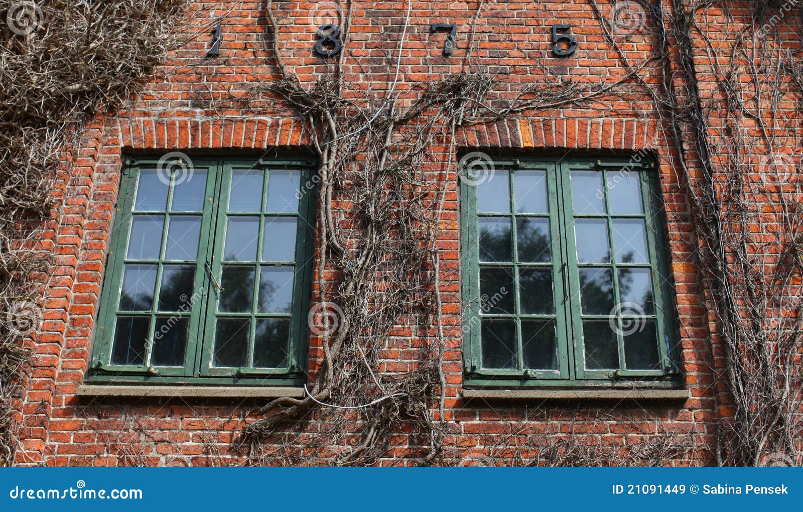 Brick House Detail with Windows Stock Image - Image of grapevine ...
