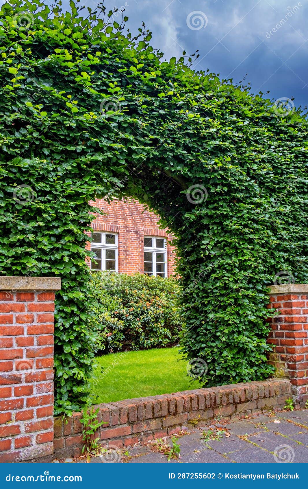 Brick House with Green Vine Growing Over it Stock Photo - Image of ...