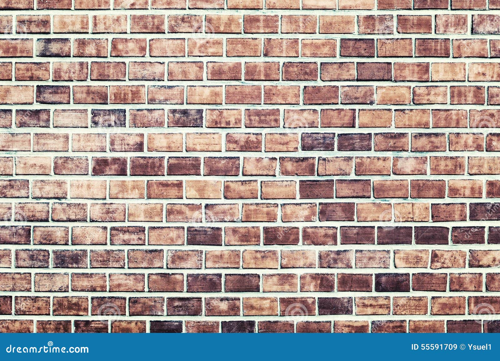 Brick medium cr stock image. Image of brickwall, floor - 55591709