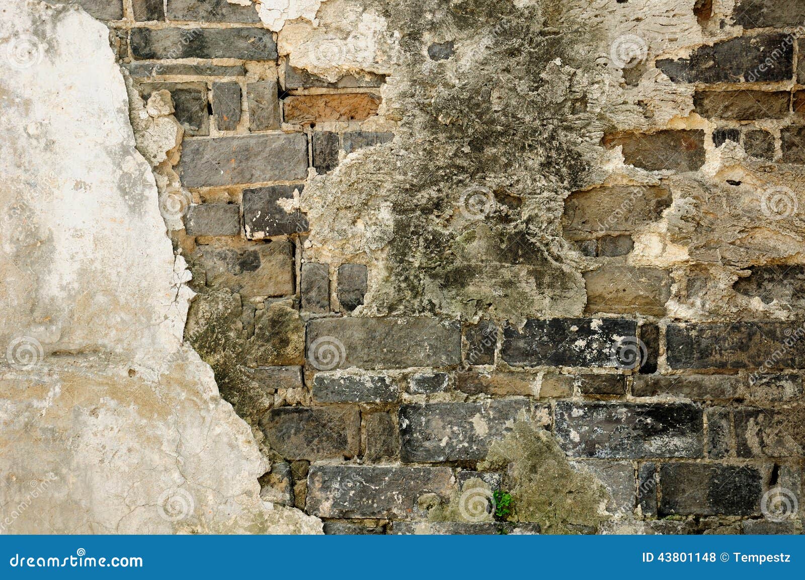 Brick and Mortar Wall stock photo. Image of disrepair - 43801148