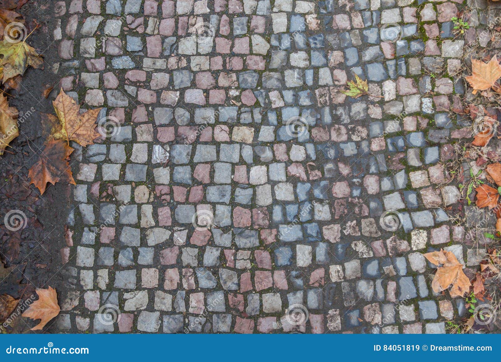 Brick Old Pavement Path Texture Stock Image - Image of texture, cracked ...