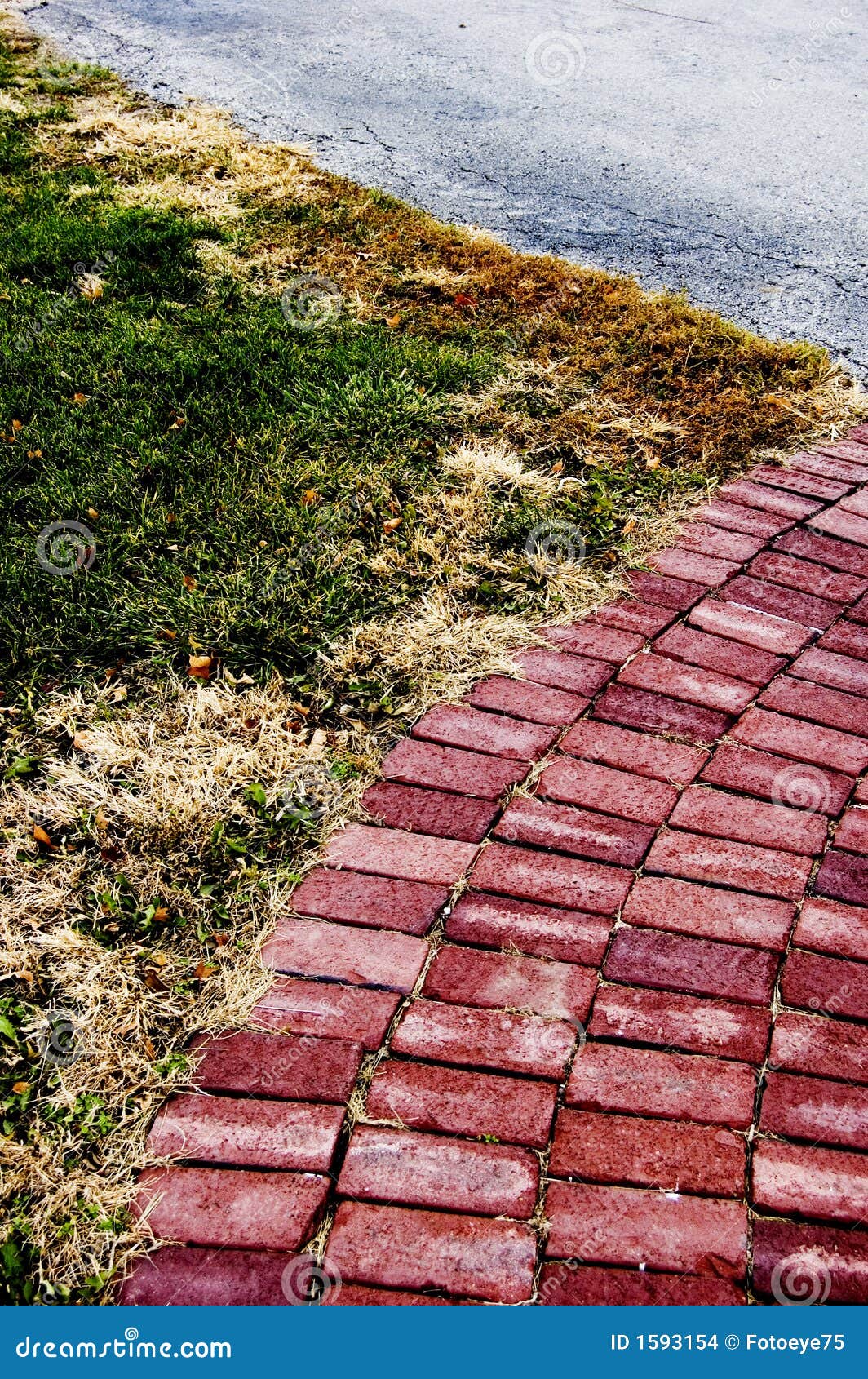 Brick path stock photo. Image of sidewalk, pattern, lines - 1593154