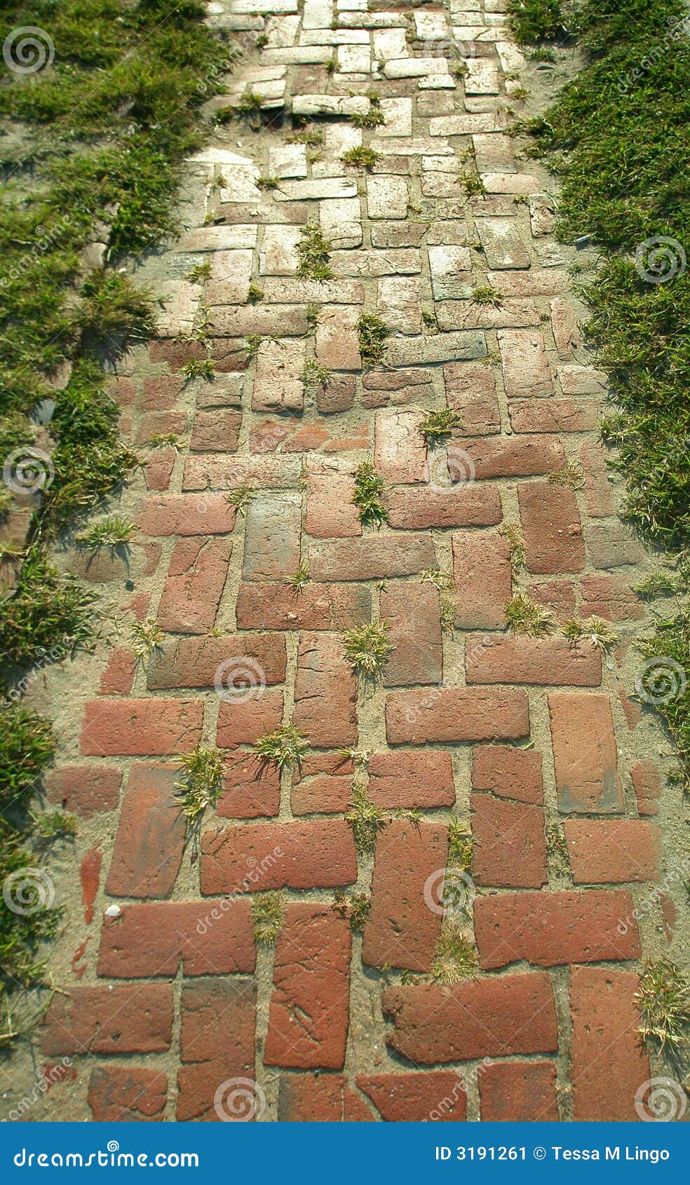 Brick path stock image. Image of details, exploration - 3191261