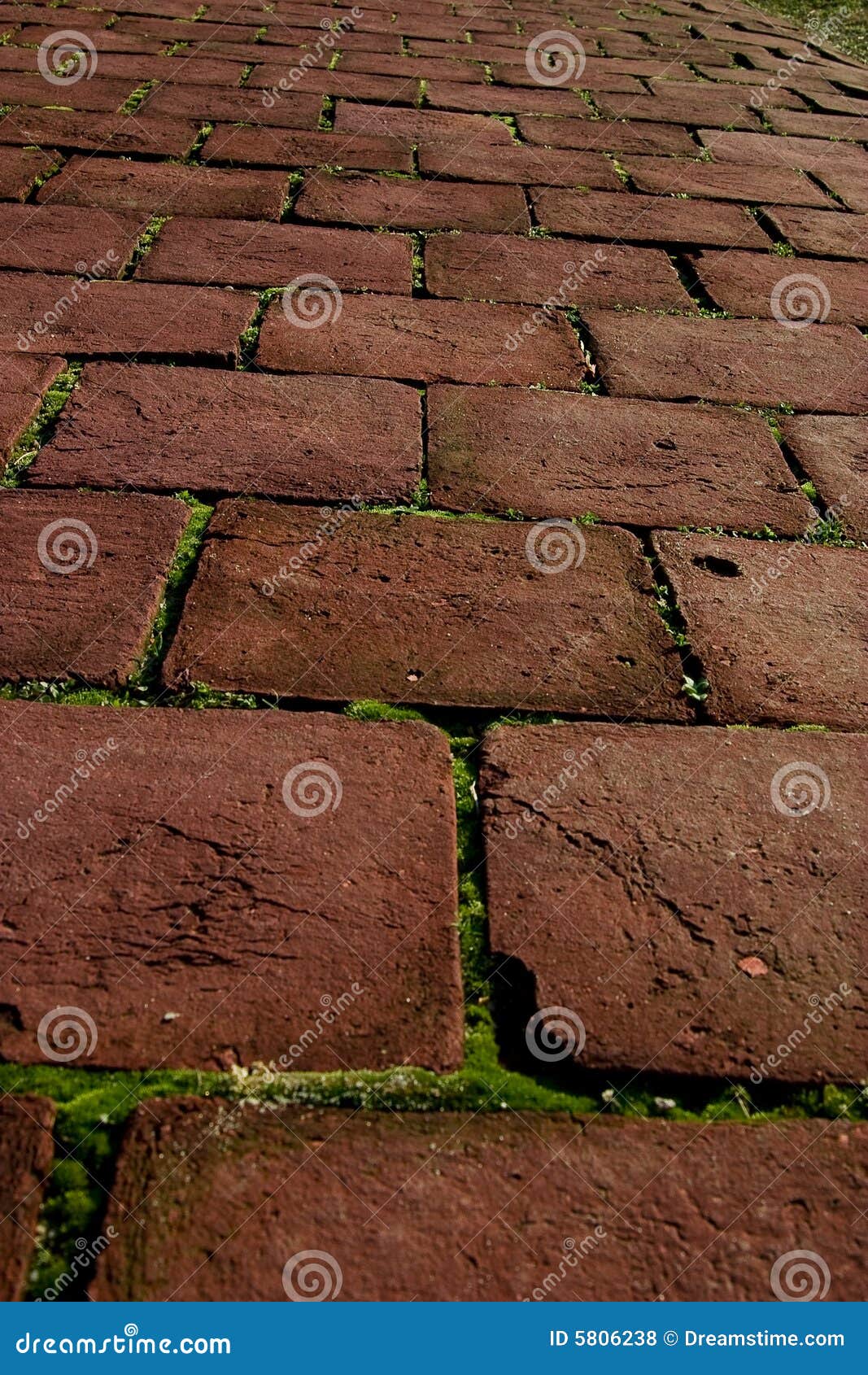 Brick Path stock photo. Image of pattern, walkway, moss - 5806238