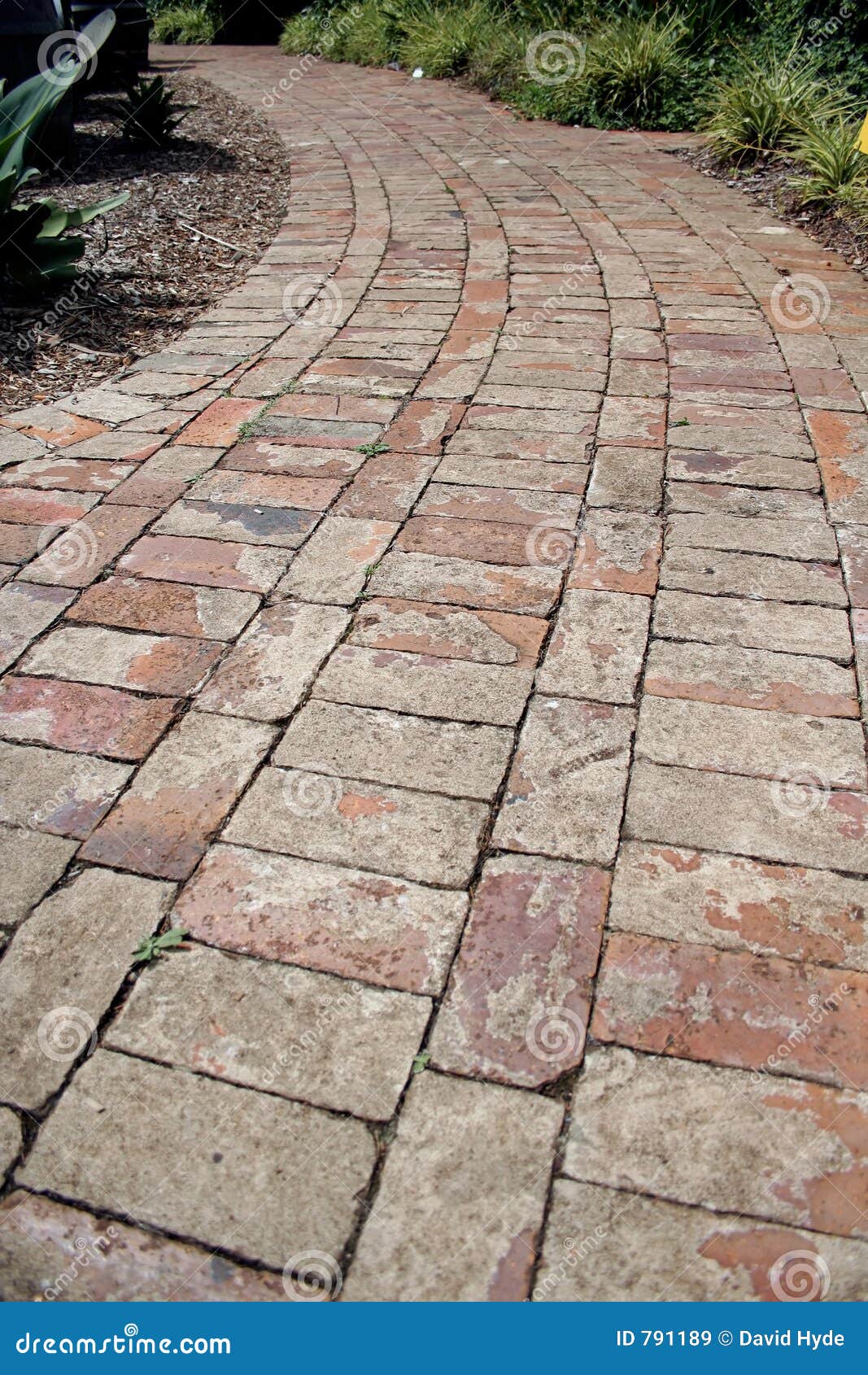 Brick path stock image. Image of brick, flowers, lane, clinker - 791189