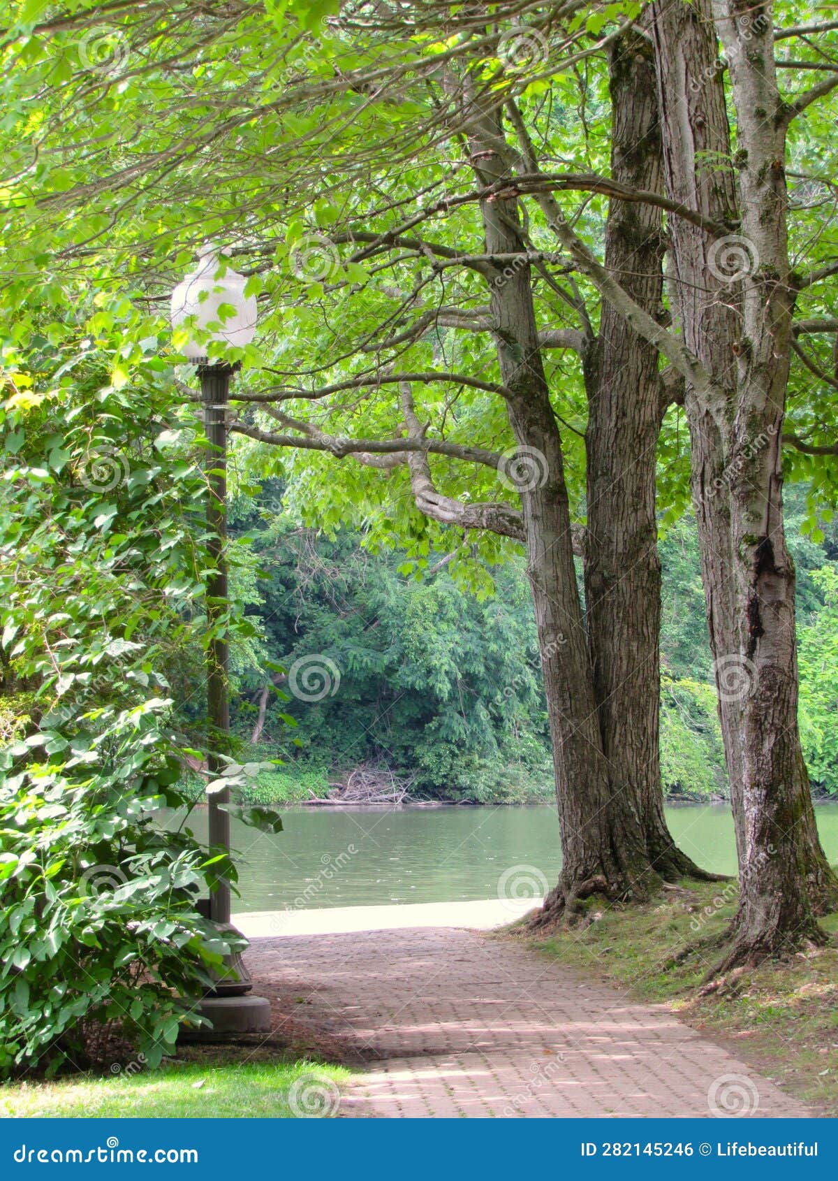 Brick path stock photo. Image of leading, jungle, lake - 282145246