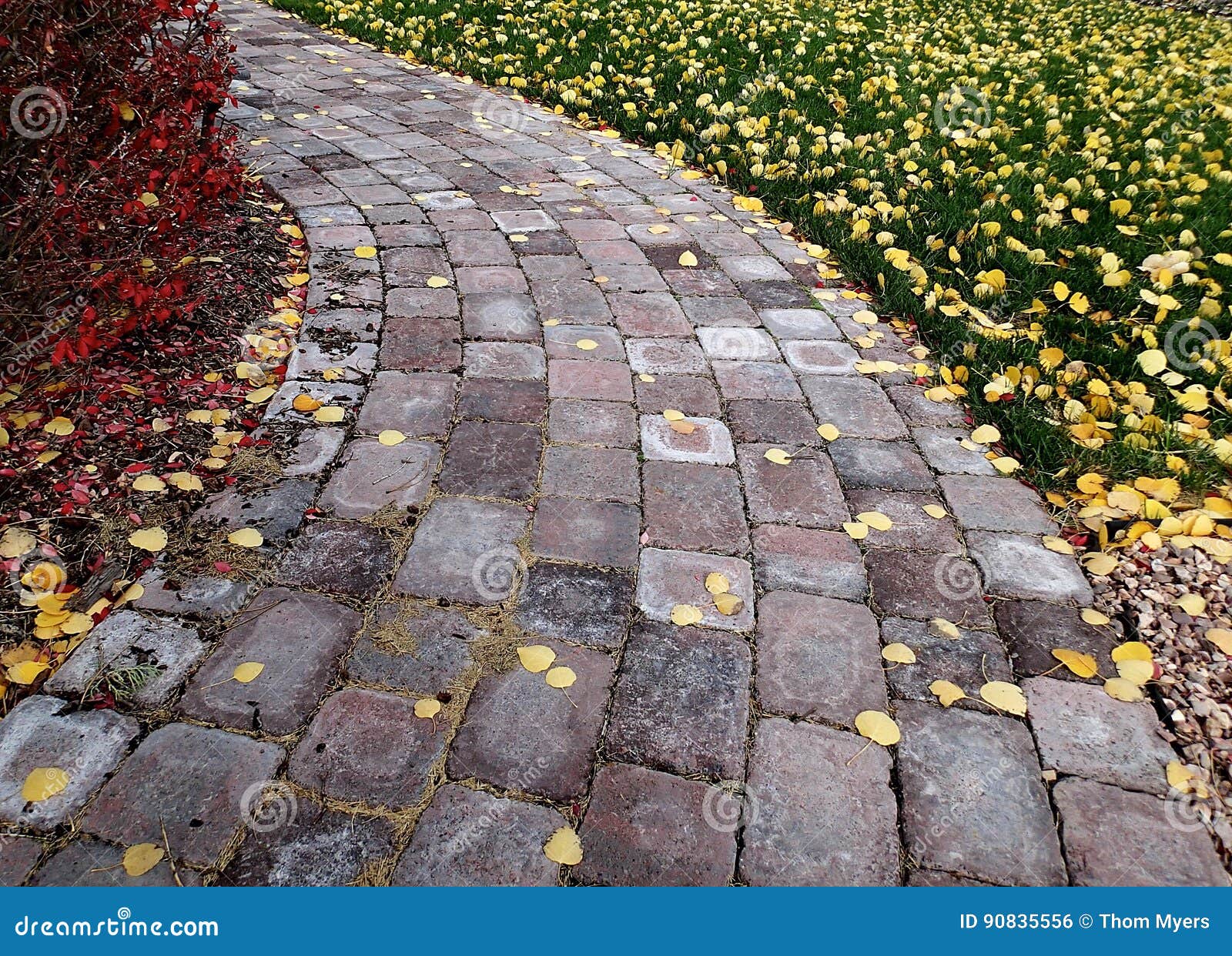Brick Path and Fall Leaves in the Park Stock Photo - Image of deschutes ...