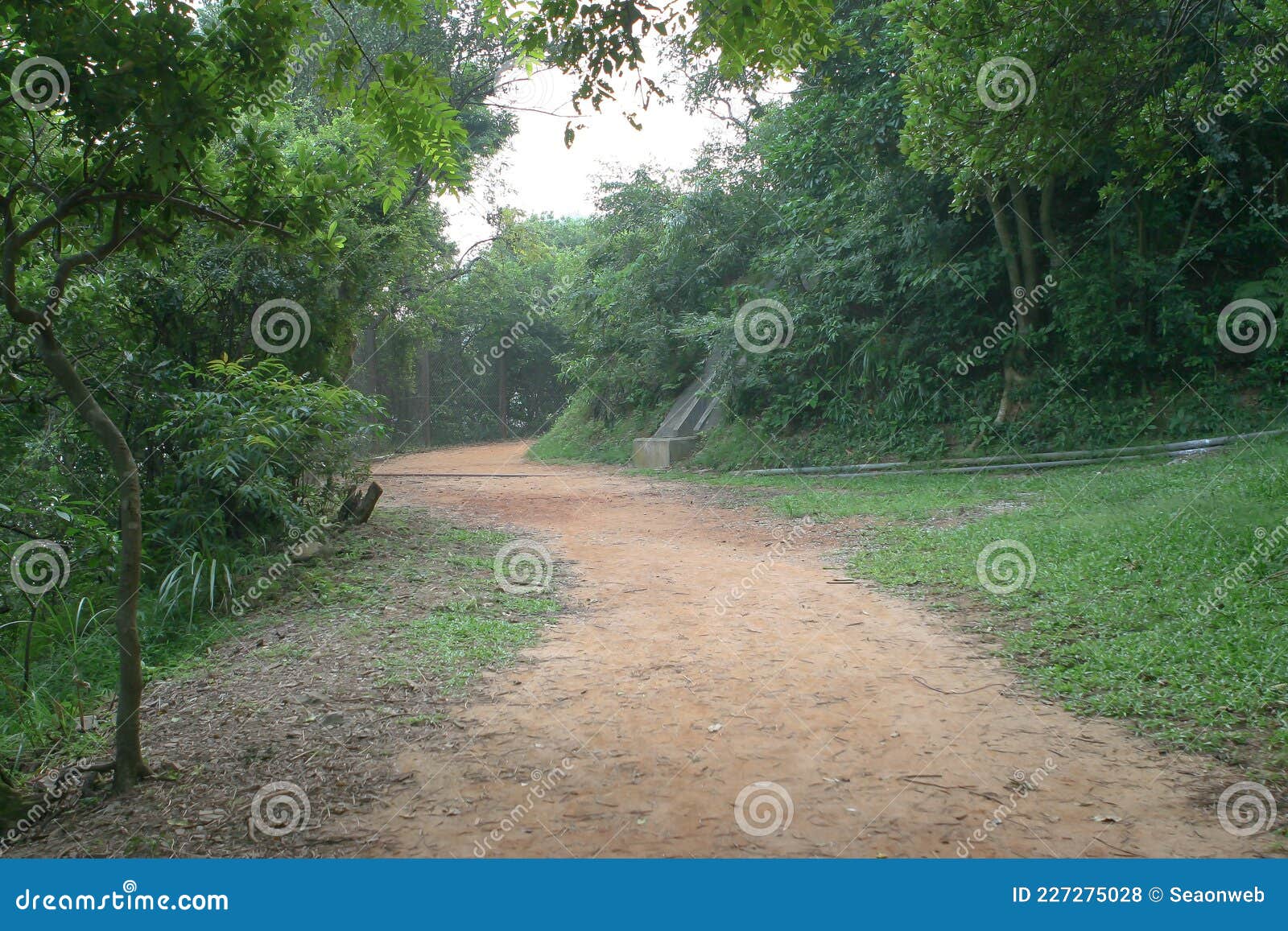 A Brick Path through the Forest at Fort, Shing Mun Reservoir Stock ...