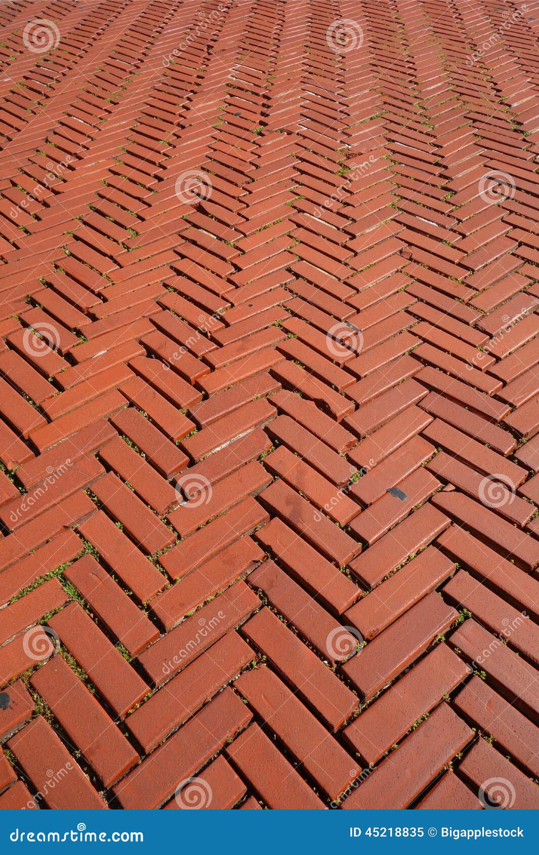 Brick Path stock image. Image of path, destiny, exterior - 45218835