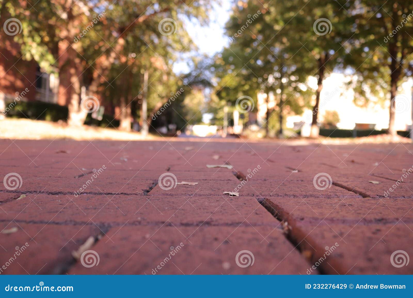The Brick Path Outside J. Murrey Atkins Library at UNC Charlotte Stock ...
