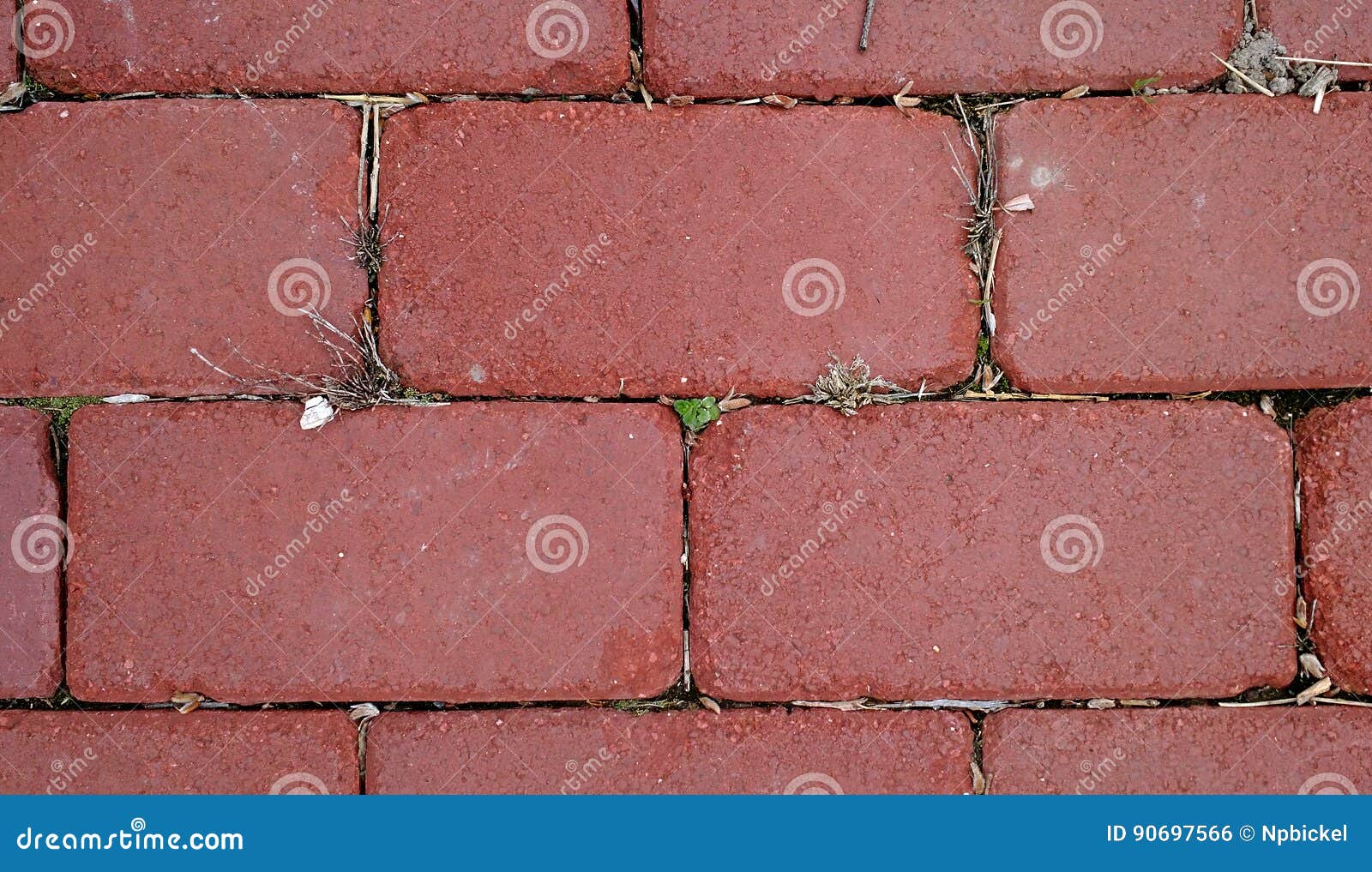 Brick Path Texture stock photo. Image of designs, pastel - 90697566