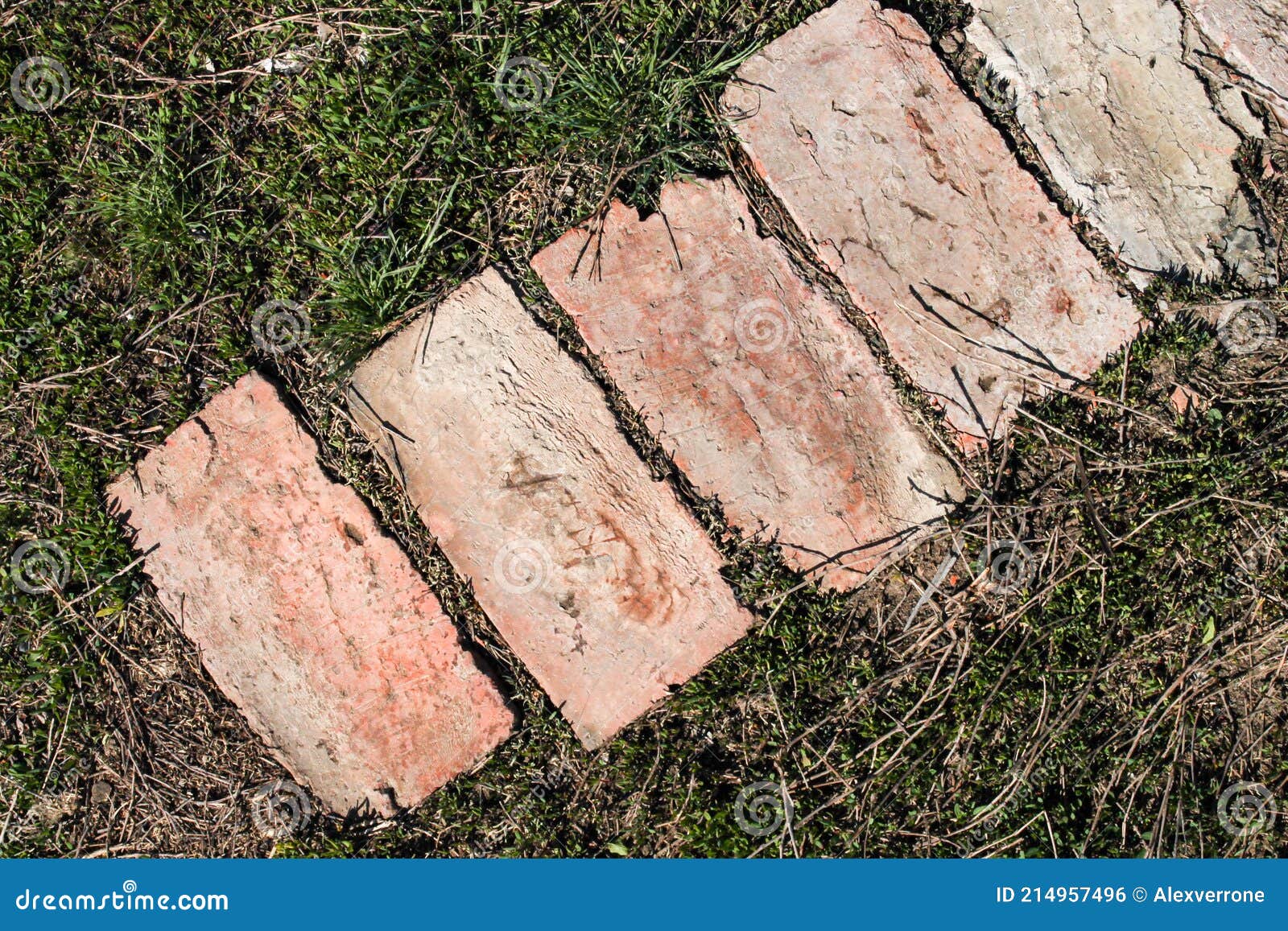 Brick Trail. the Red Brick Lies on the Ground Stock Photo - Image of ...