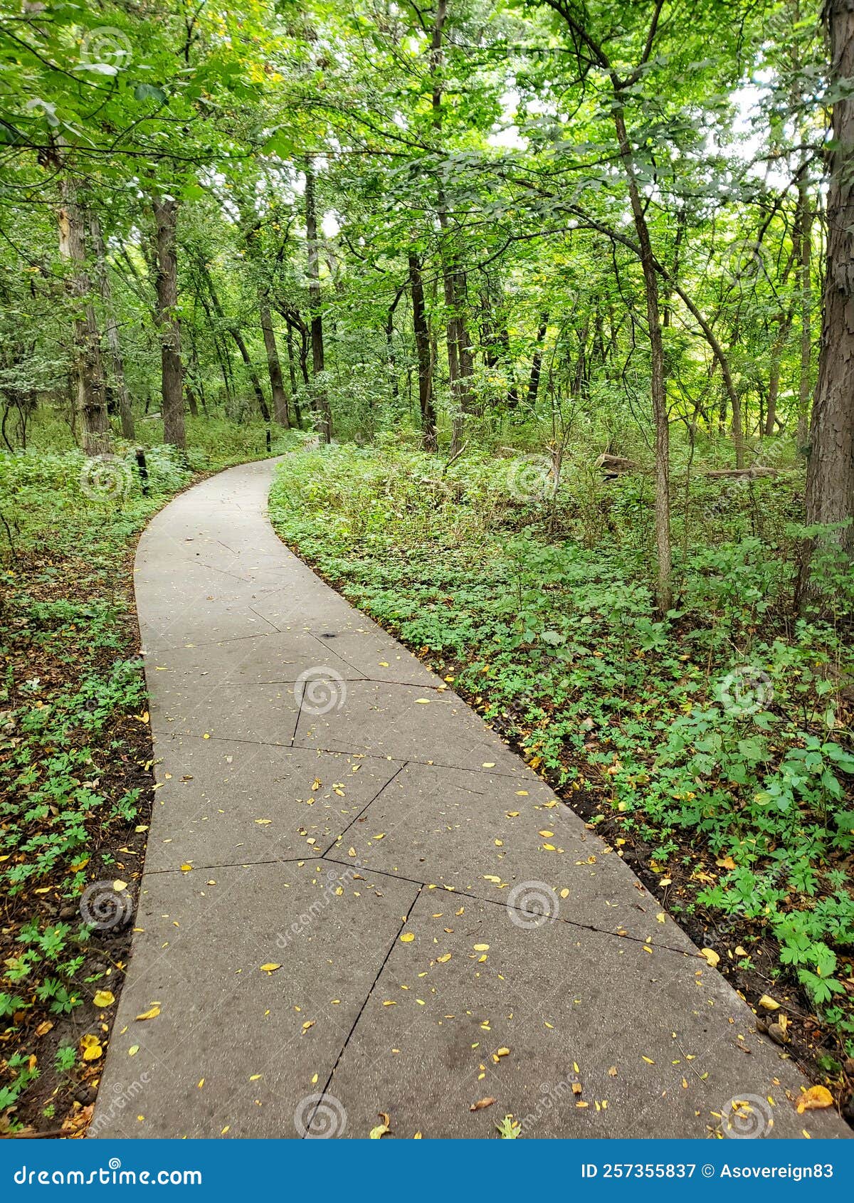 A Brick Path Winding through the Woods in the Fall Season. Stock Image ...
