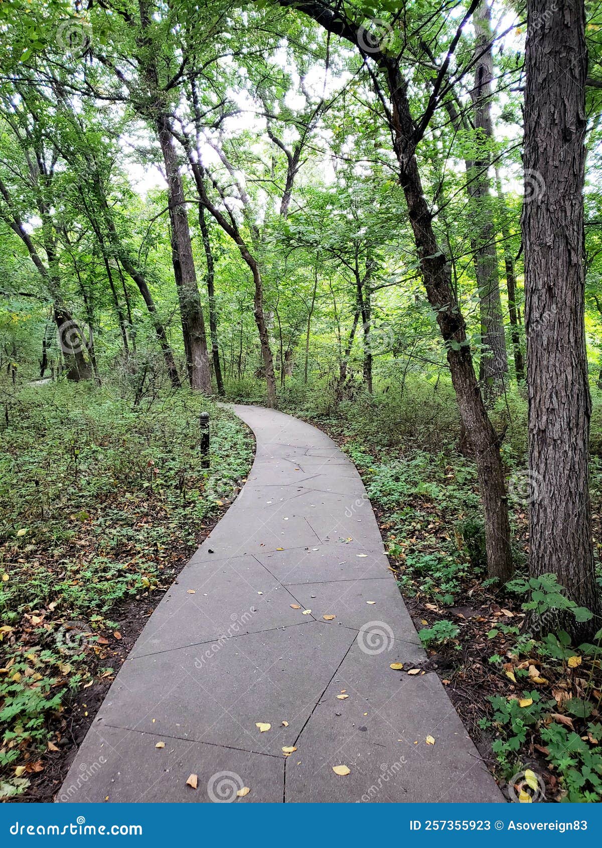 A Brick Path Winding through the Woods in the Fall Season. Stock Image ...