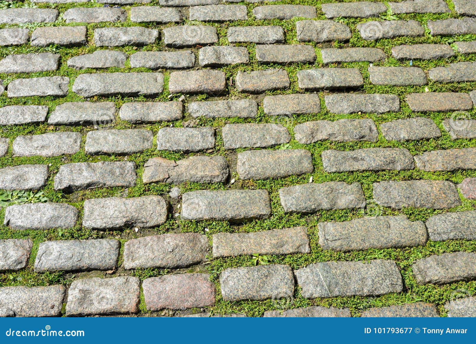 Brick pathway stock image. Image of pattern, walkway - 101793677