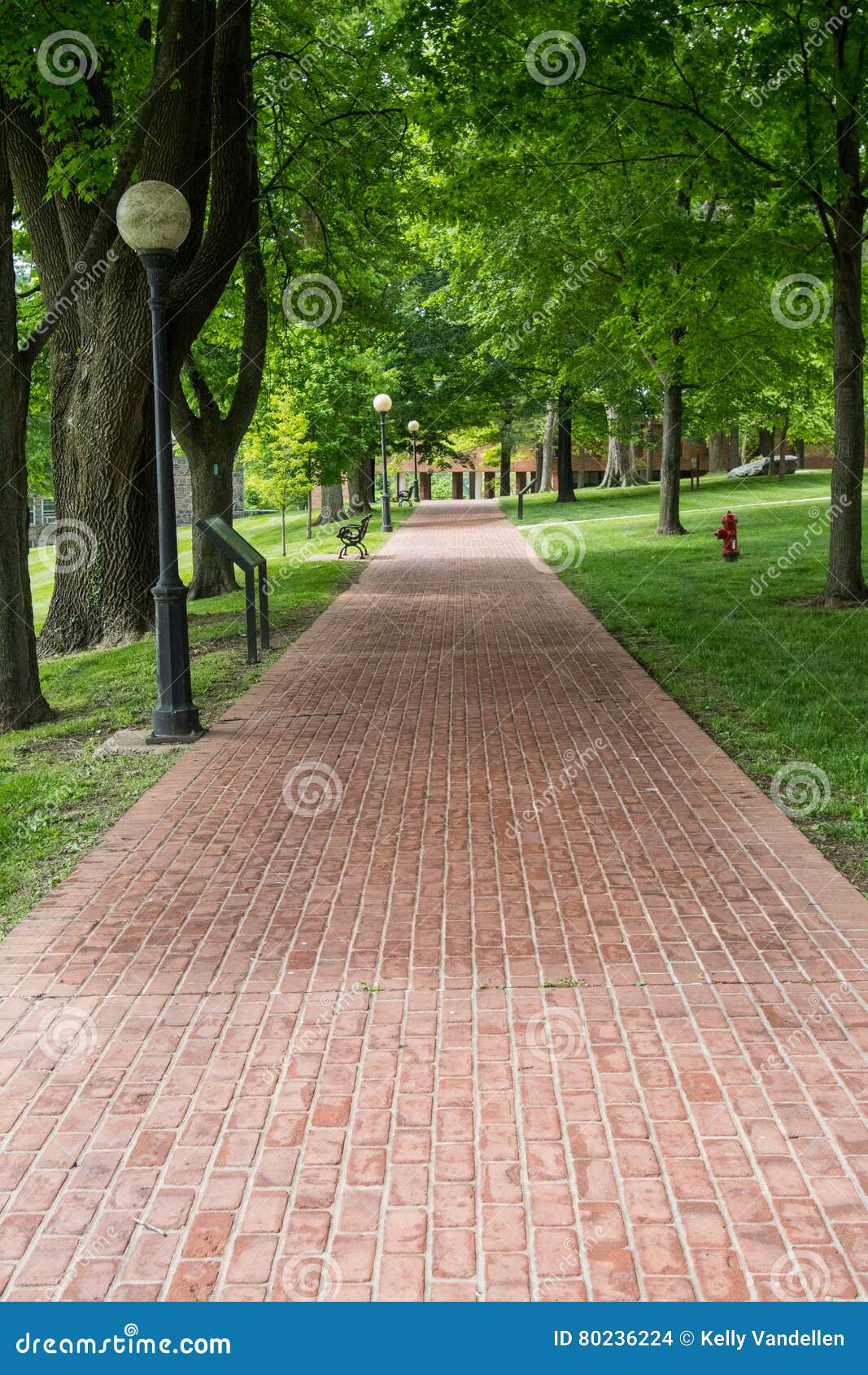 Brick Pathway through Park stock photo. Image of outdoor - 80236224