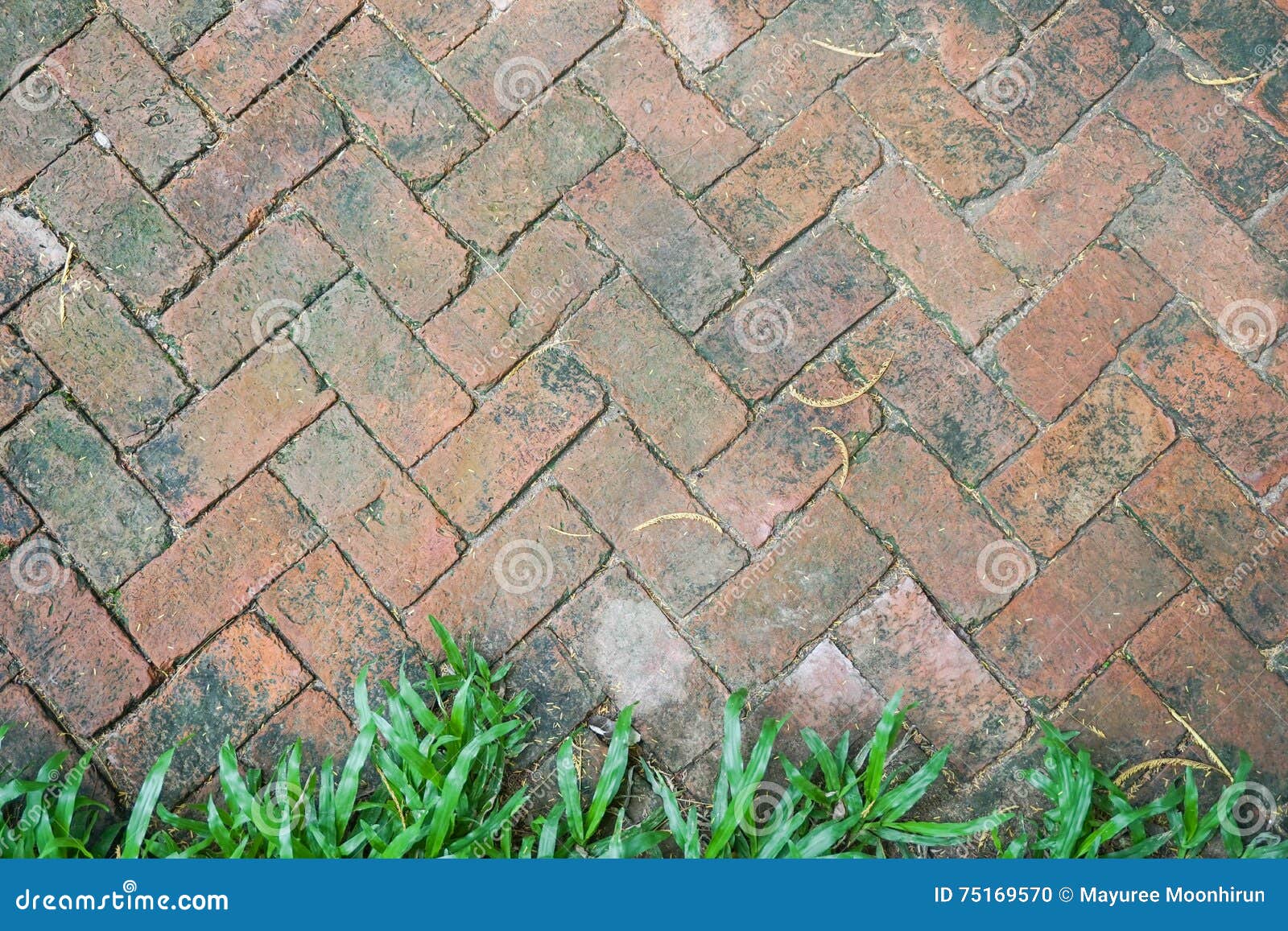 Brick Pathway Texture Royalty-Free Stock Image | CartoonDealer.com ...