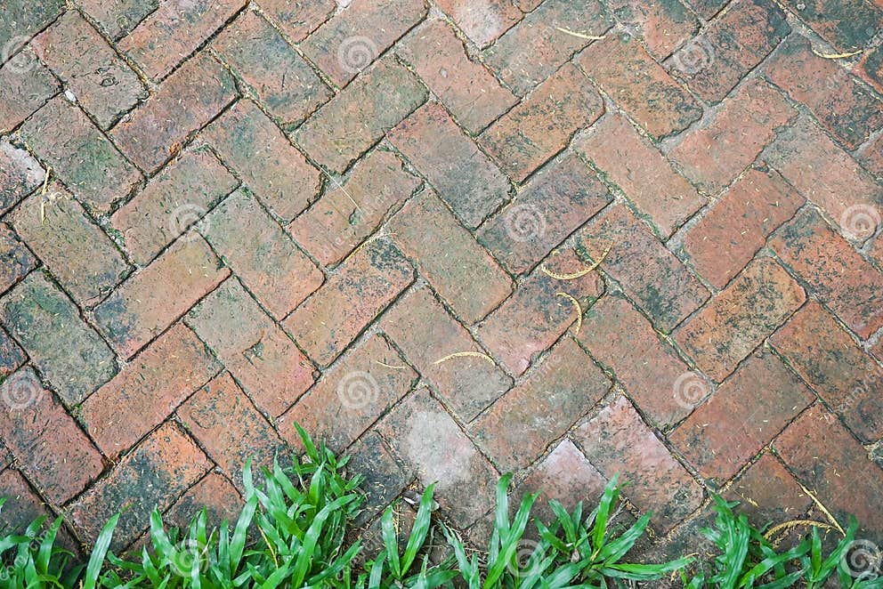 Brick pathway texture stock photo. Image of park, footpath - 75169570