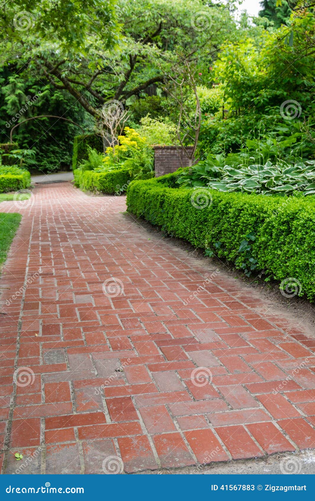 Brick Pathways through a Garden Stock Image - Image of hedge, material ...
