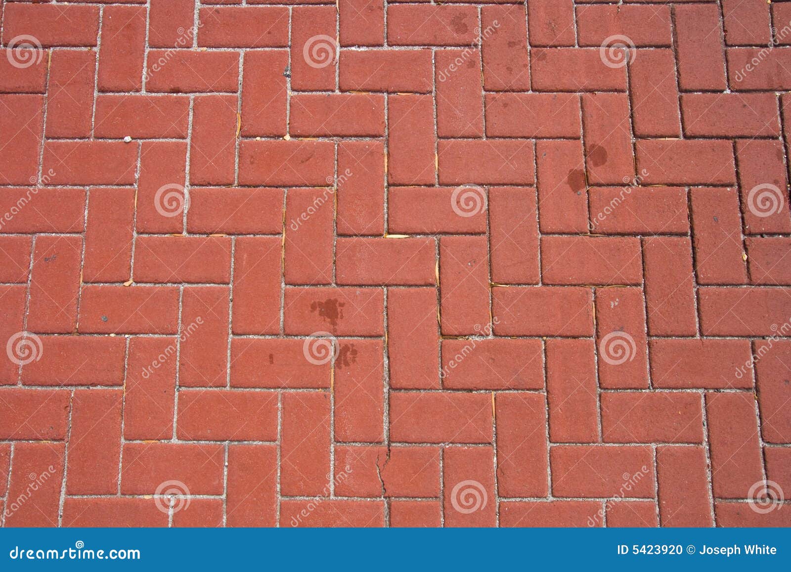 Brick Pattern stock photo. Image of paving, pavement, pavers - 5423920