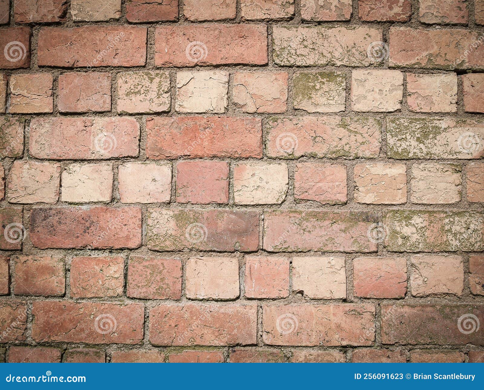 Brick Pattern Background Orange Color Old with Moss Growing Stock Image ...