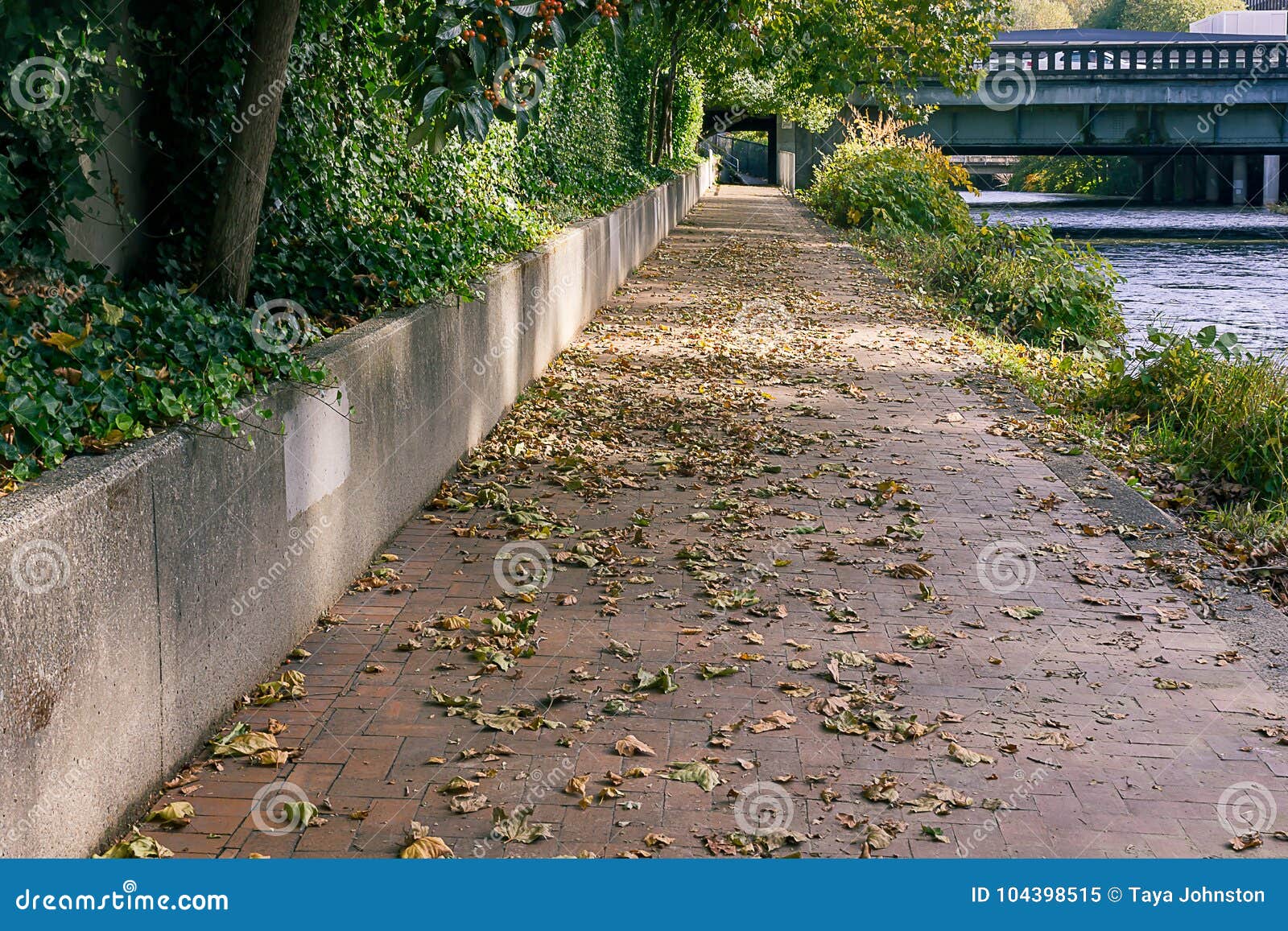 Brick paved river path stock image. Image of beautiful - 104398515