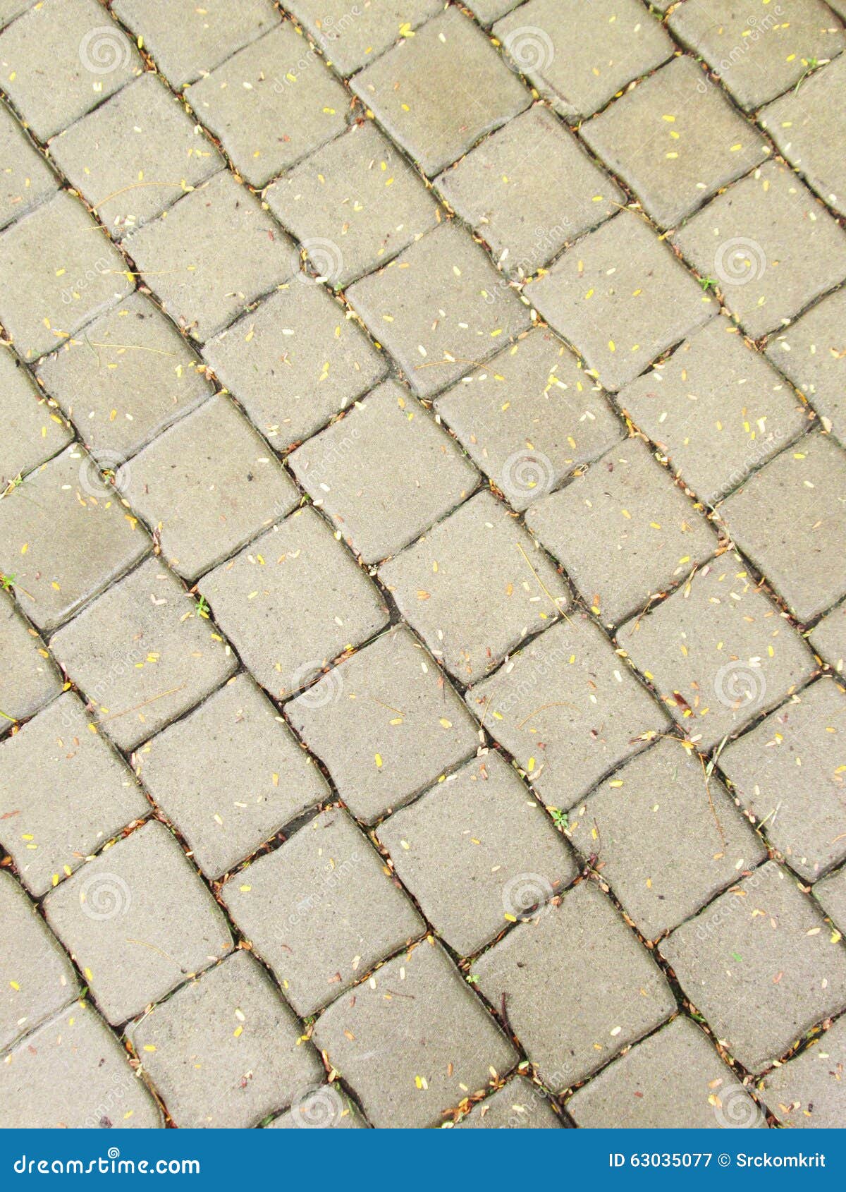 Brick pavement blocks stock image. Image of garden, blocks - 63035077
