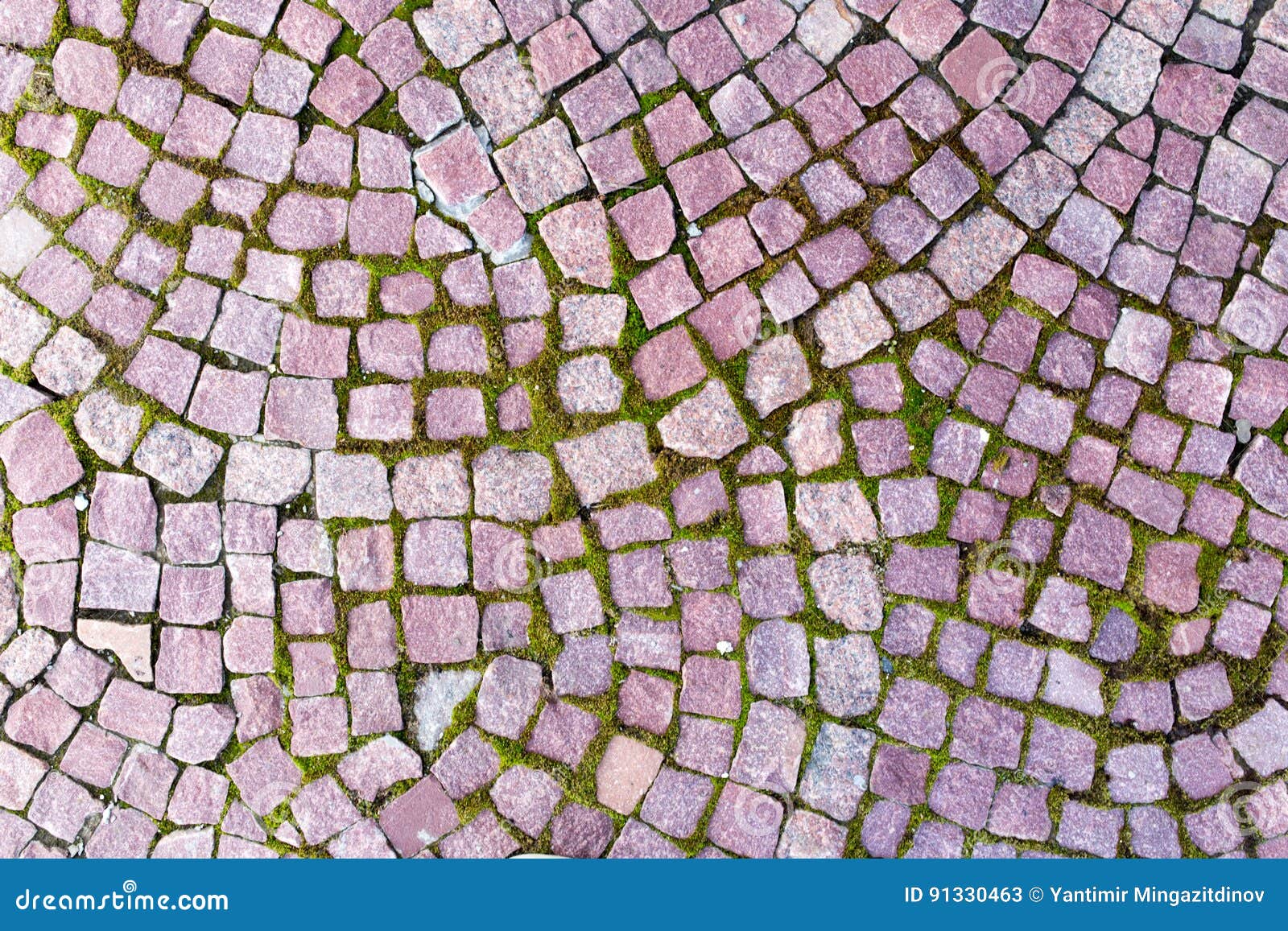 Brick Pavement Tile, Top View. Texture As Background. Stock Image ...