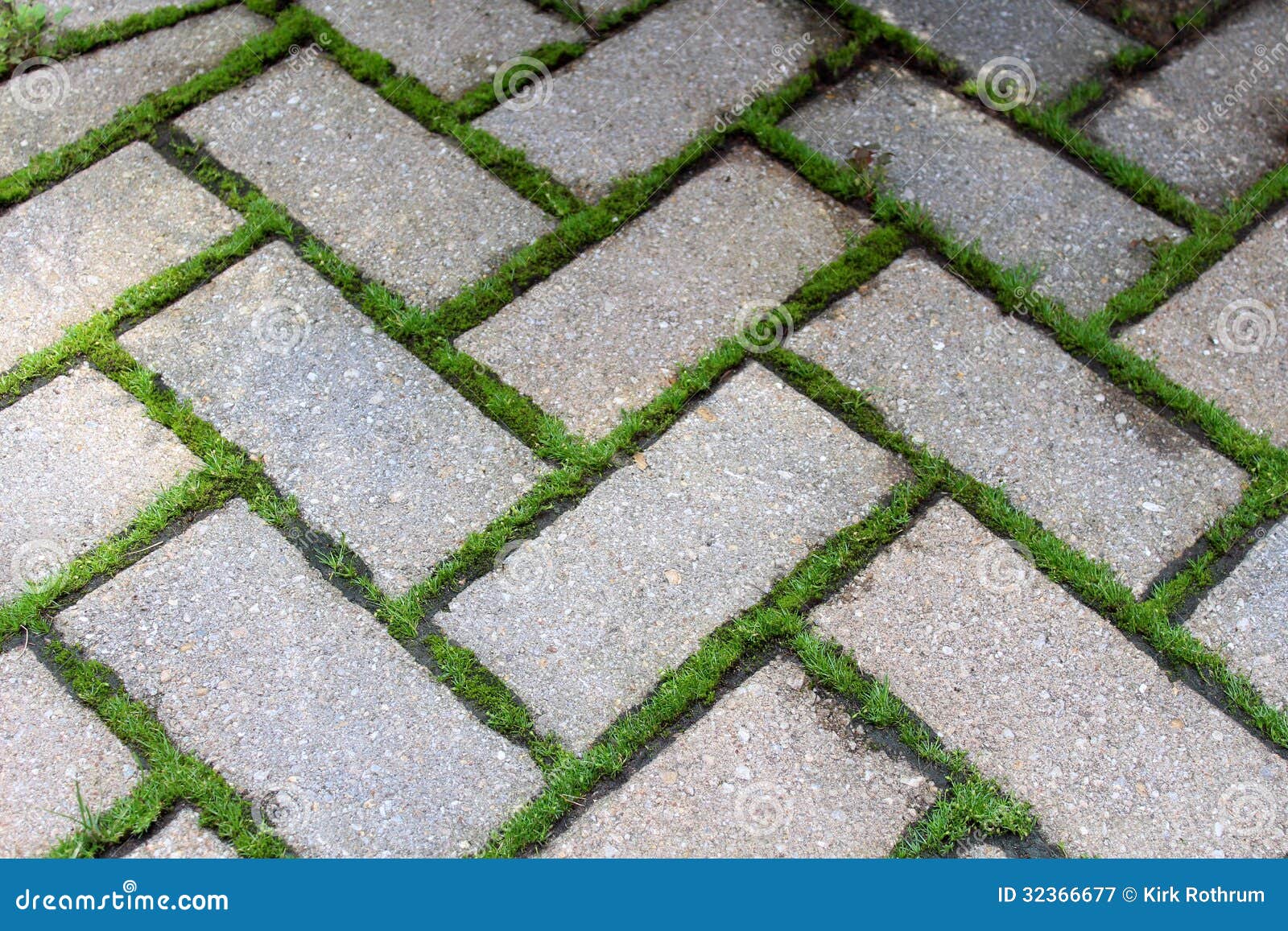 Brick Pavers with Moss stock image. Image of mossy, brown - 32366677