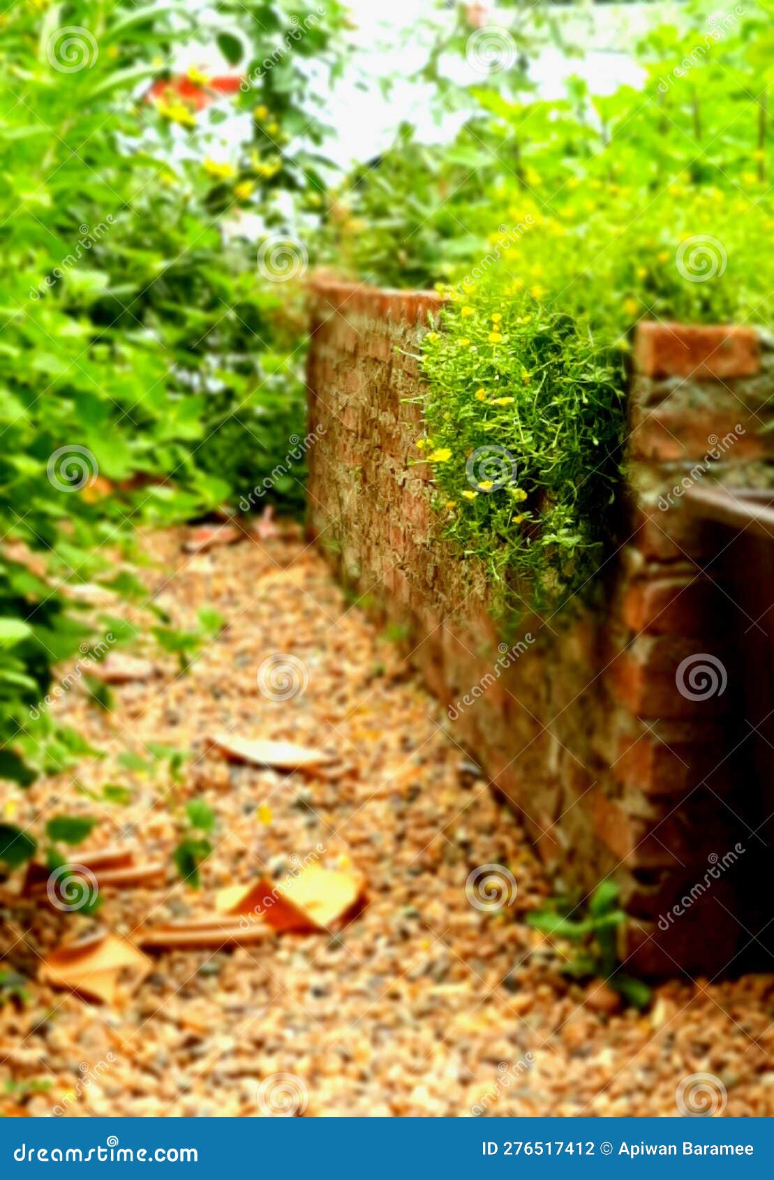 Image of a Planter Made of Bricks Stock Photo - Image of journey, road ...