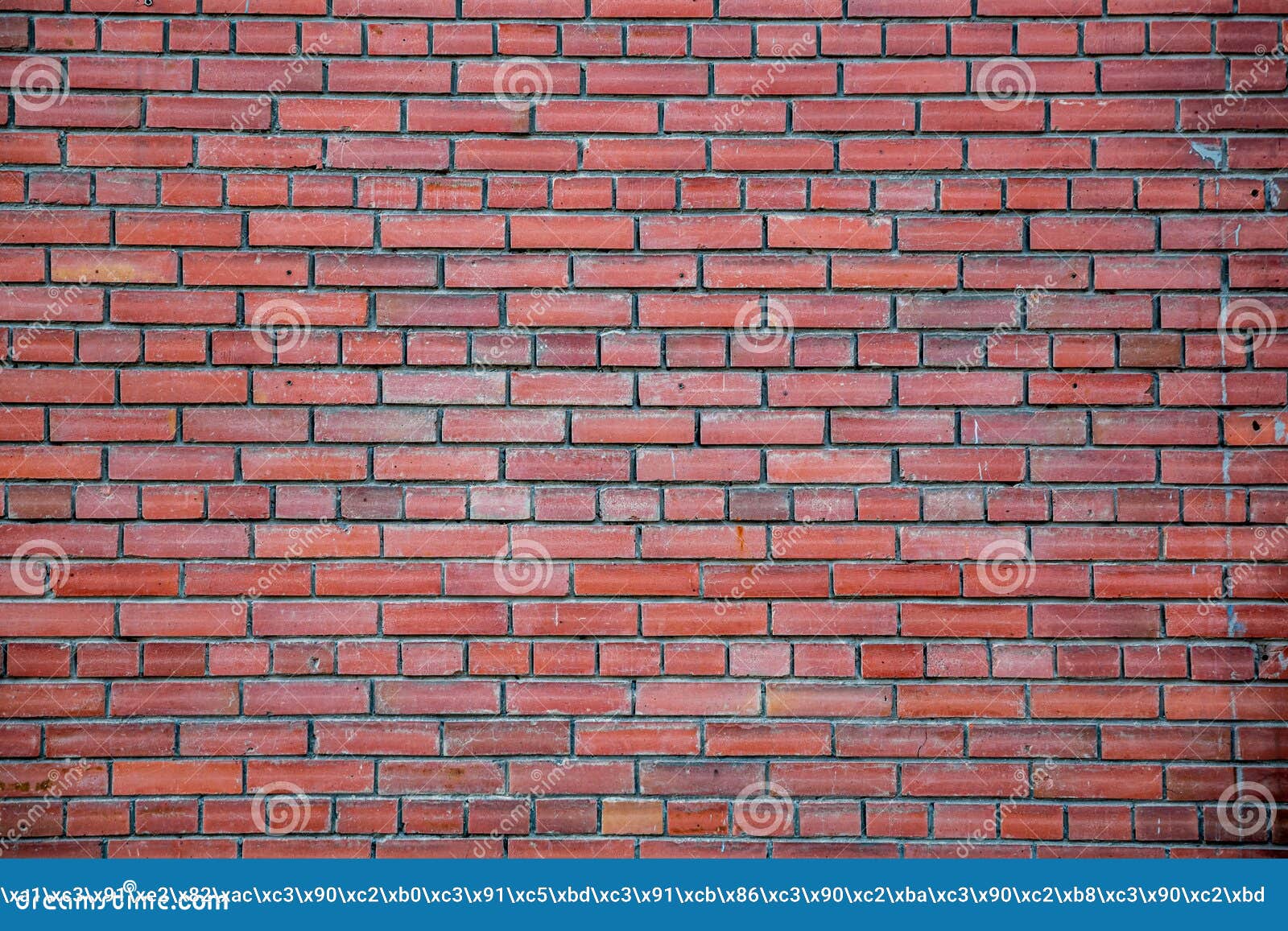 Brick red wall front view stock photo. Image of front - 182165348