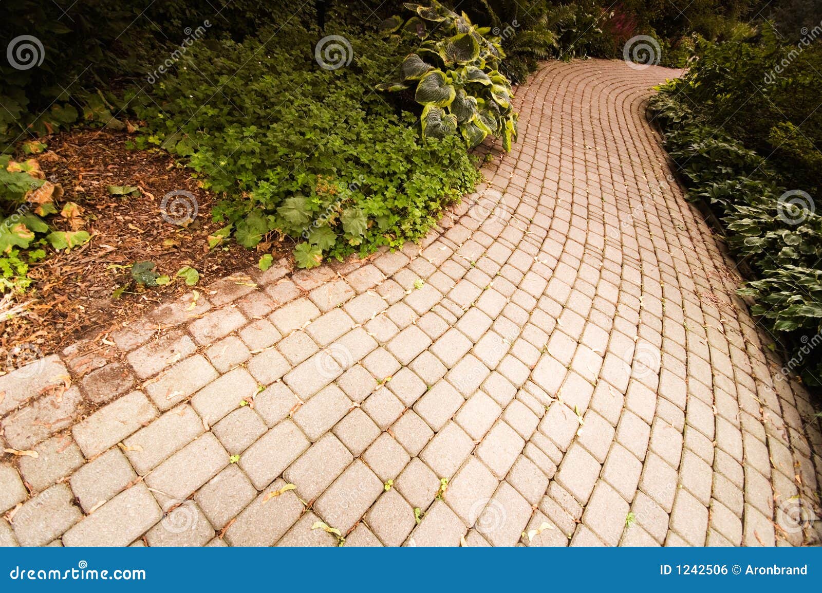 Brick Road stock photo. Image of brick, grass, future - 1242506