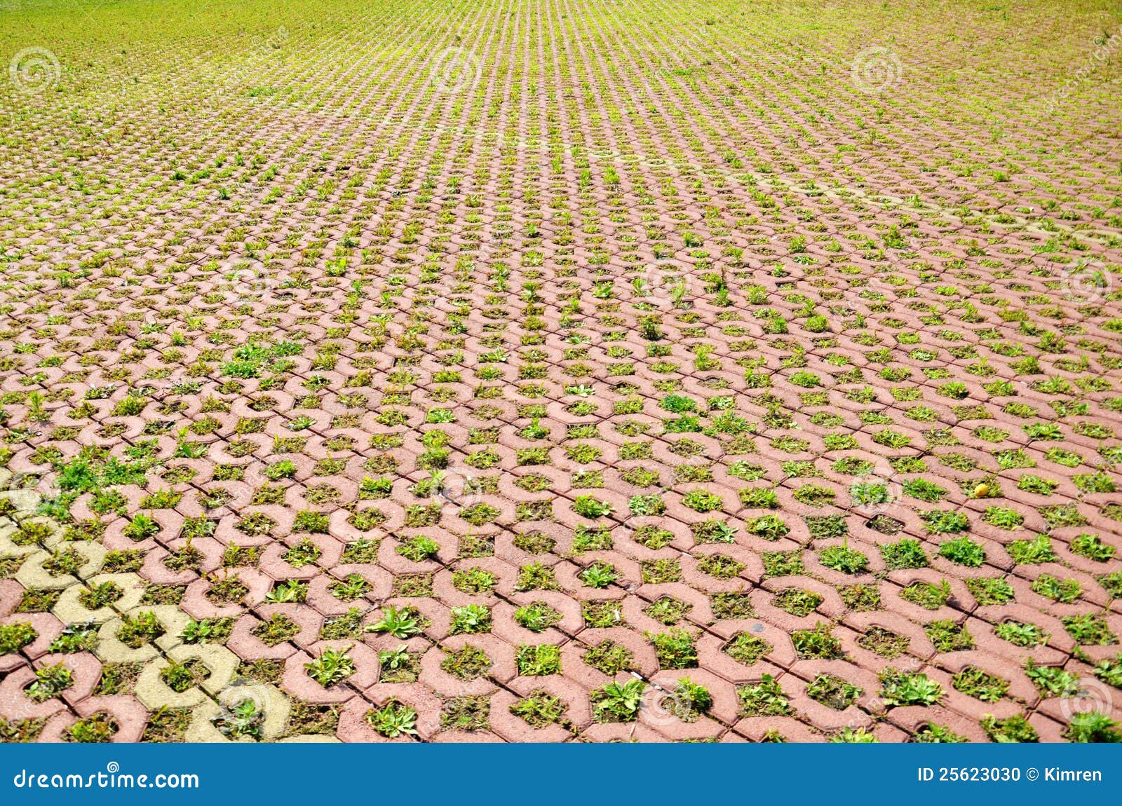 Brick road stock photo. Image of rough, landscape, rural - 25623030