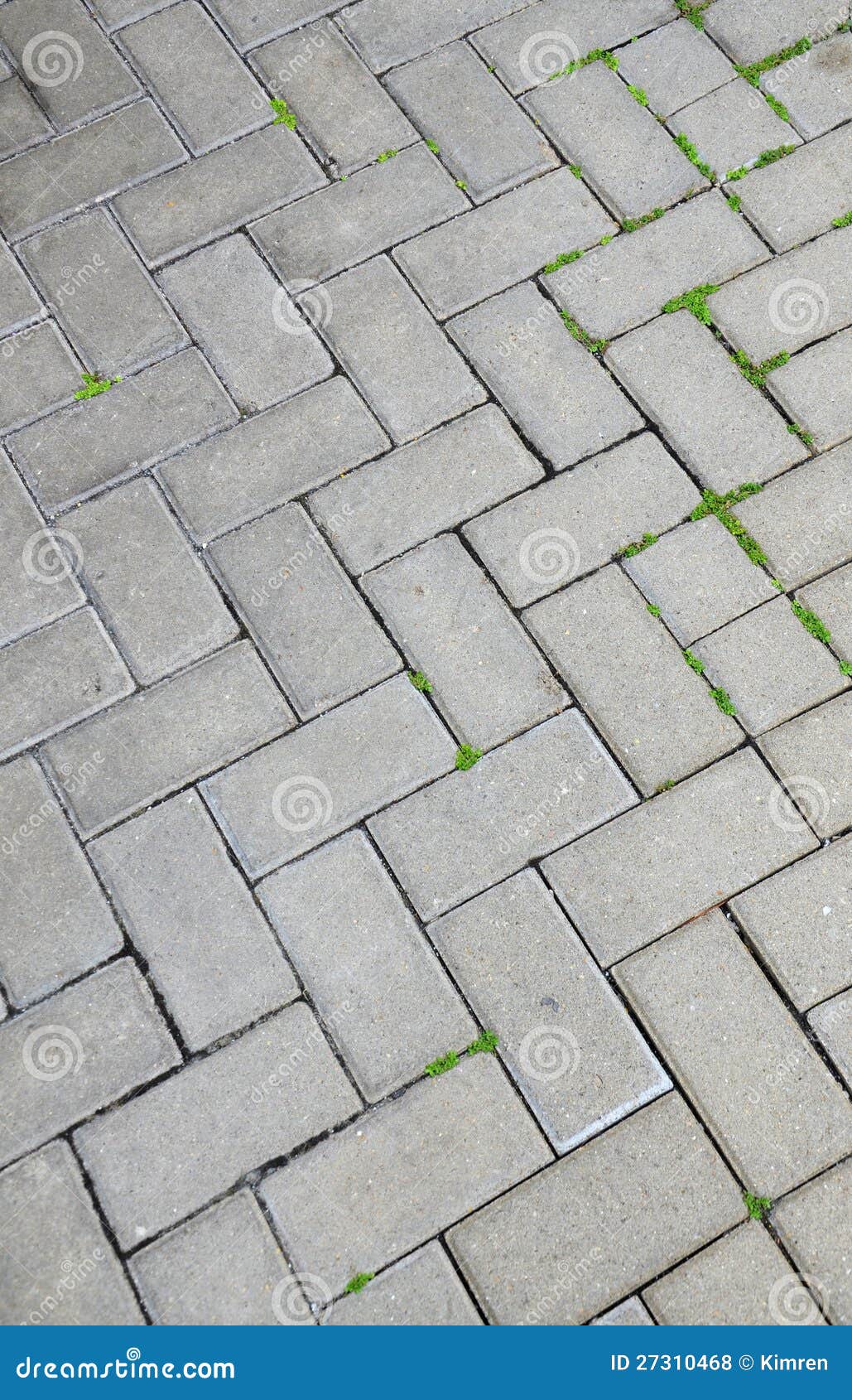 Brick road stock photo. Image of brick, decor, architecture - 27310468