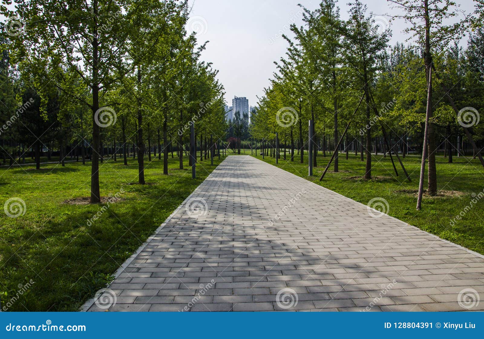 Brick road stock image. Image of shine, building, grass - 128804391