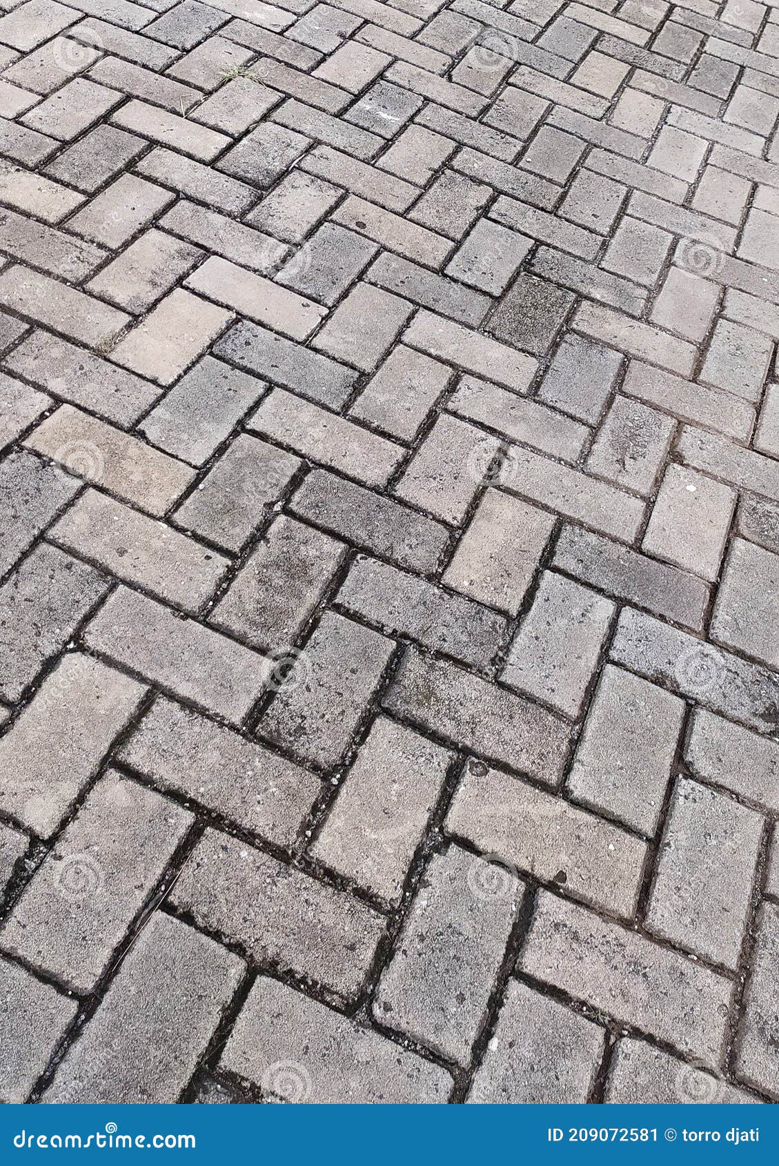 Cluster Of Road Signs Stock Photography | CartoonDealer.com #197099306