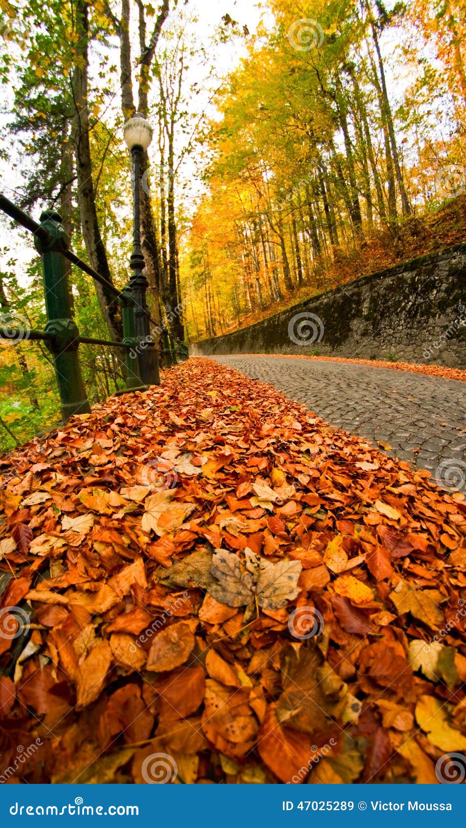Brick road in the forest stock image. Image of season - 47025289