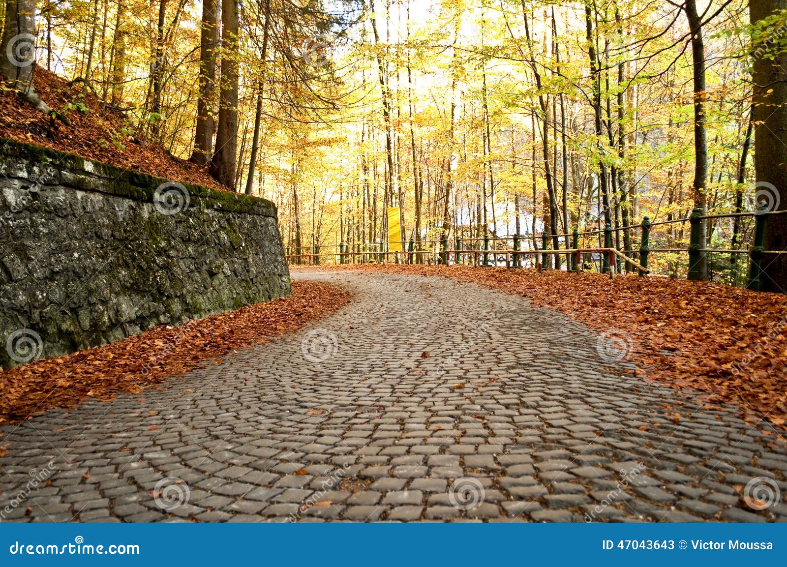 Brick road in the forest stock image. Image of color - 47043643