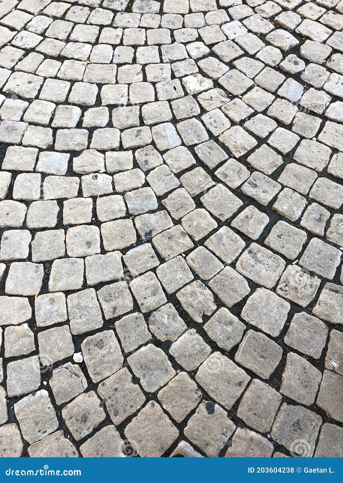 Square bricks on ground stock photo. Image of street - 203604238