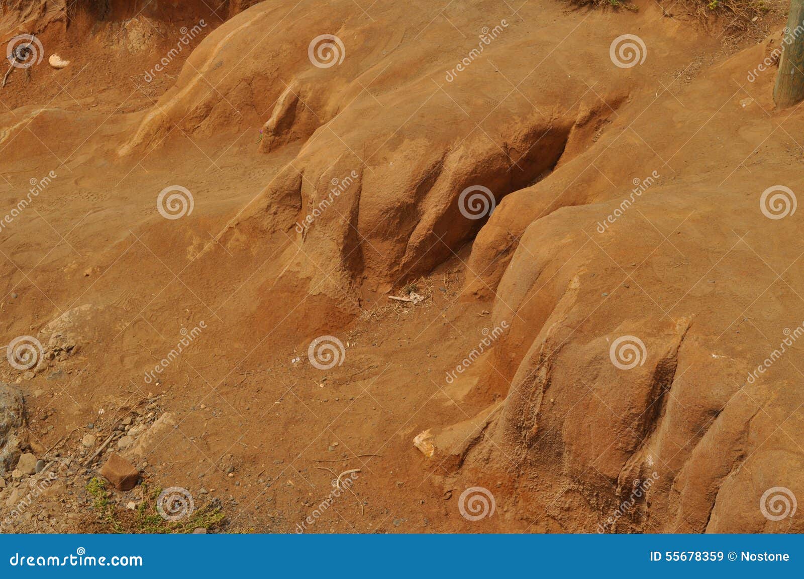 Brick rock stock image. Image of grass, animal, rock - 55678359